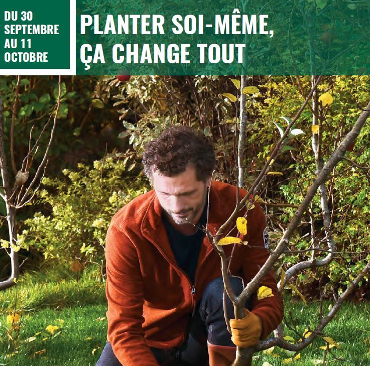 Gamm Vert Saint Gilles Croix De Vie magasin du réseau Jardineries Cavac